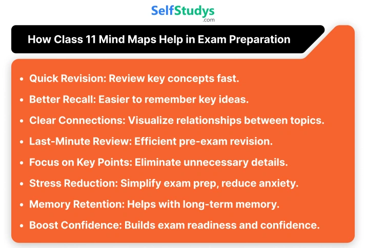 Mind Maps for Class 11 PDF Download Free for Offline Study